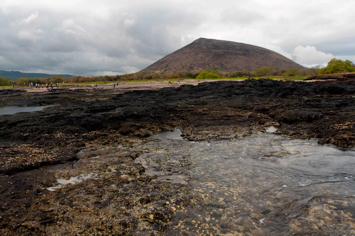 Galapagos Island Volcanoes Move